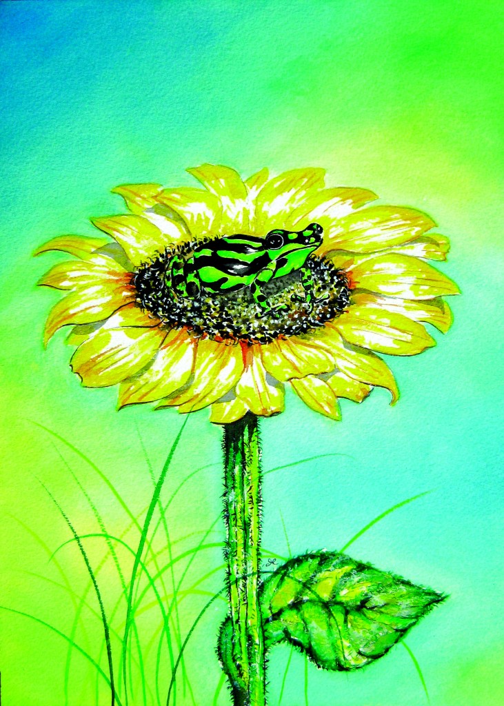 Sunflower frog | Dr. Will Tuttle PhD & The World Peace Diet